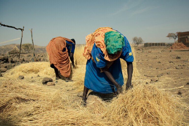 War, poverty, and poor rainfall endanger Sudan's agricultural season ...