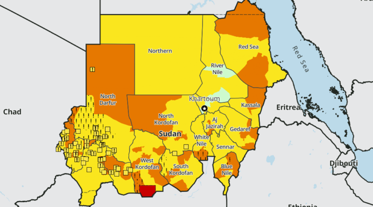FEWS NET: Millions of Sudanese face critical shortages of food and ...