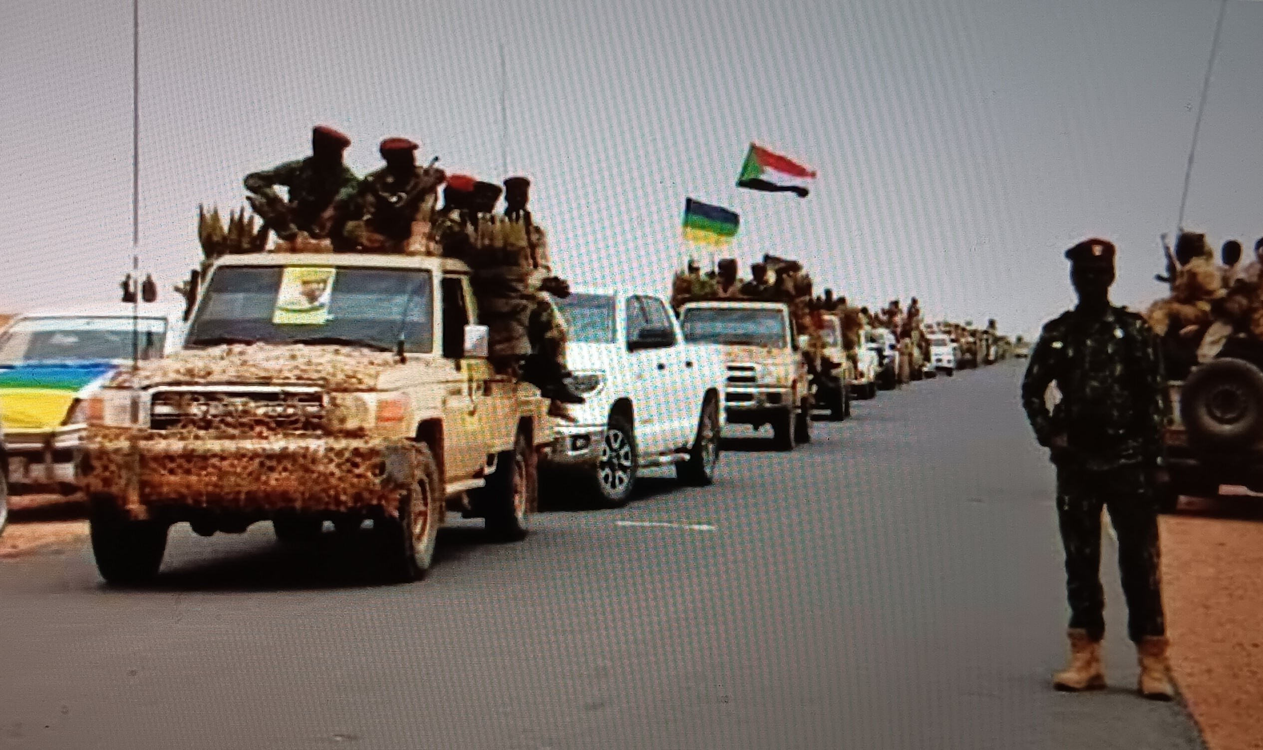 Darfur Joint Protection Force ceases aid deliveries amidst ‘healthcare ...