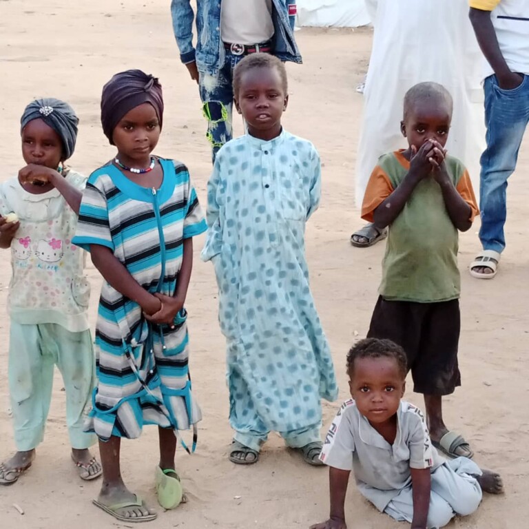 UNHCR: 76% of Sudanese refugee children in Chad out of school - Dabanga ...