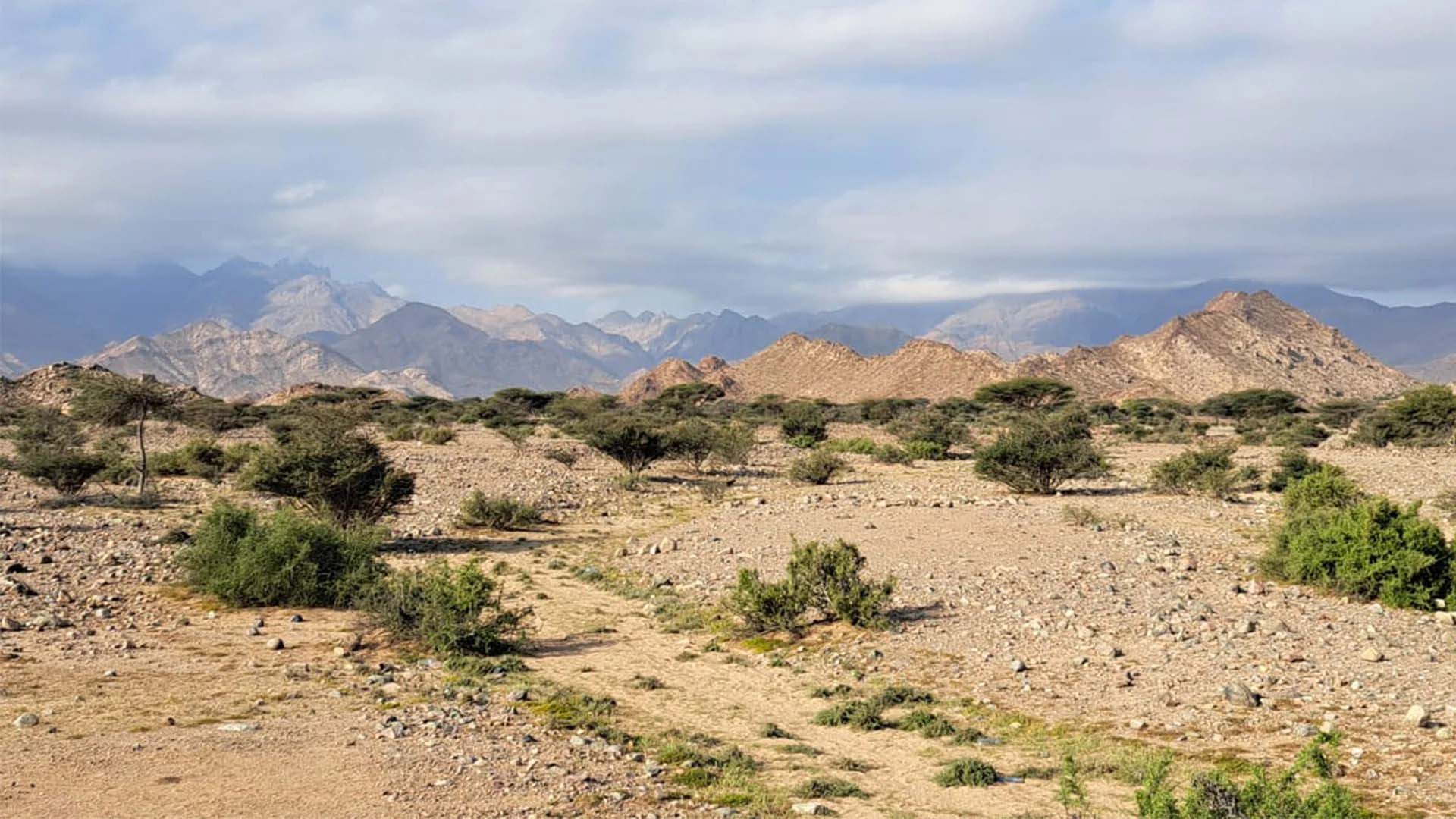 Report: Inside Egypt’s secret scheme to detain and deport thousands of ...