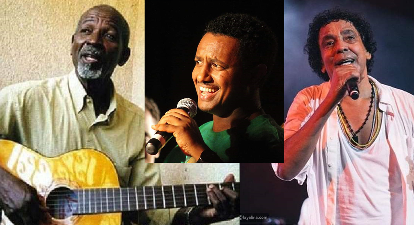 Sudan Voice from the World campaign launched in Ethiopian capital ...